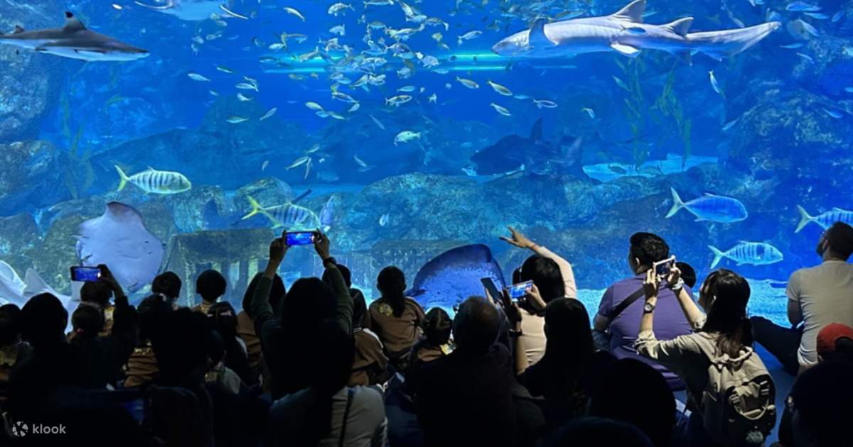 Coex Aquarium Admission Ticket - Seoul, Korea - Klook
